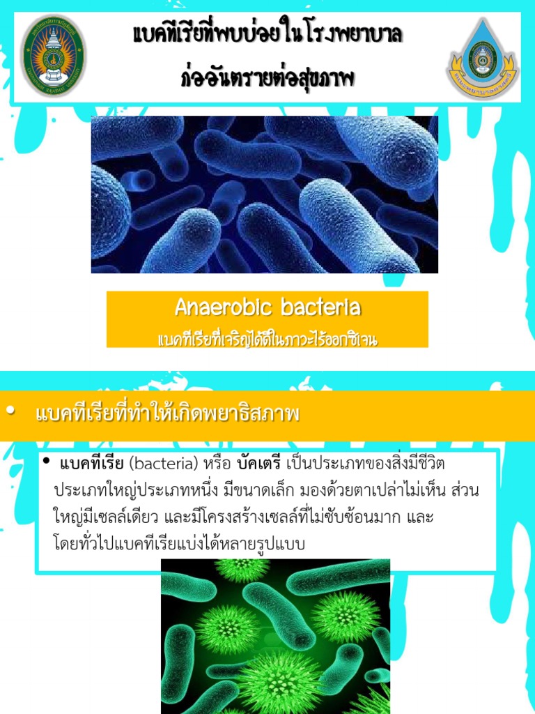 Anaerobic Bacteria