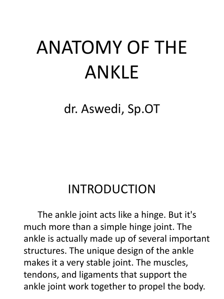 Anatomy of the Ankle Joint Explained | PDF | Ankle | Foot