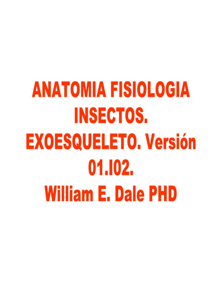 Anatomia de Insectos Exoesqueleto | PDF | Insectos | Zoología