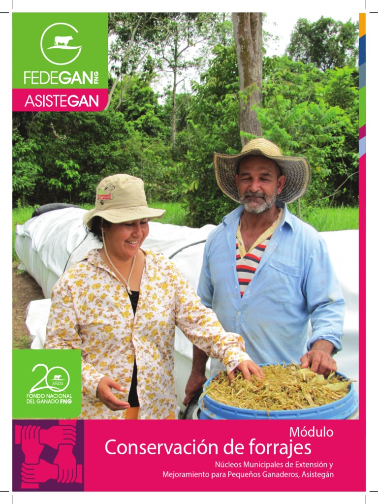 Conservacion de Forrajes | PDF | Heno | Alimentos