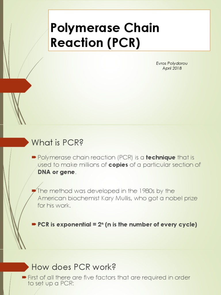 Polymerase Chain Reaction (PCR) : Evros Polydorou April 2018 | PDF ...