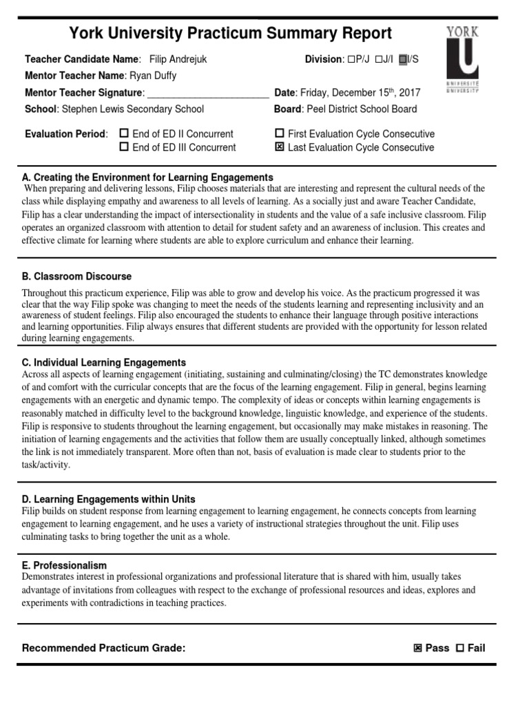 Practicum Summary Report - Filip Andrejuk | PDF | Inclusion (Education ...