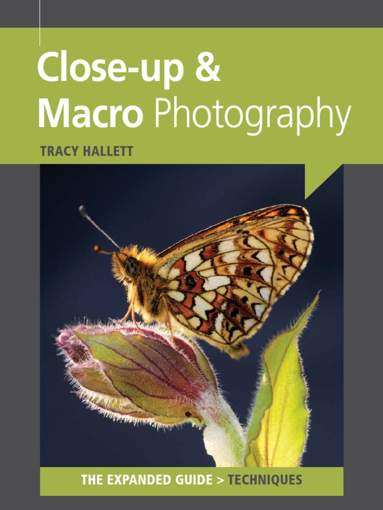 Close-Up & Macro Photography (Expanded Guides - Techniques) PDF | PDF ...