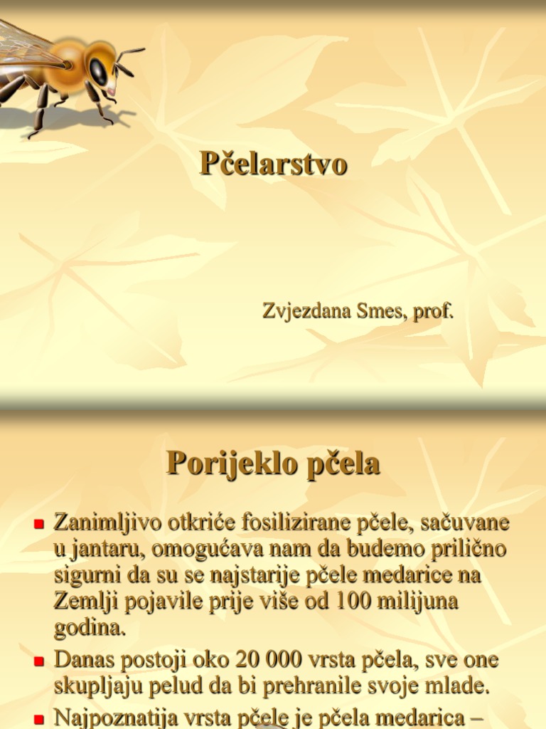 Pcelarstvo | PDF