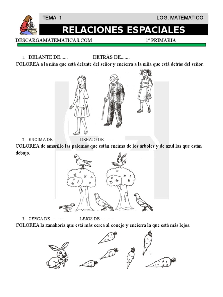 Relaciones Espaciales | PDF