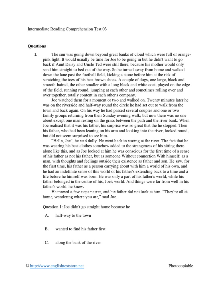 Intermediate Reading Comprehension Test 03 | PDF