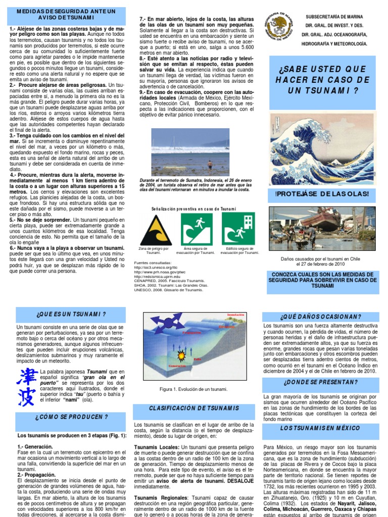 Medidas de Seguridad ante Tsunamis | PDF | Tsunami | Temblores