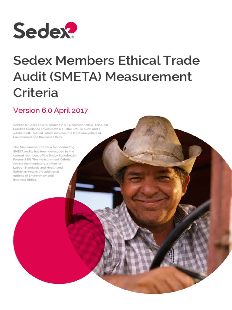 Smeta 6.0 Measurement Criteria | PDF | Employment | Supply Chain