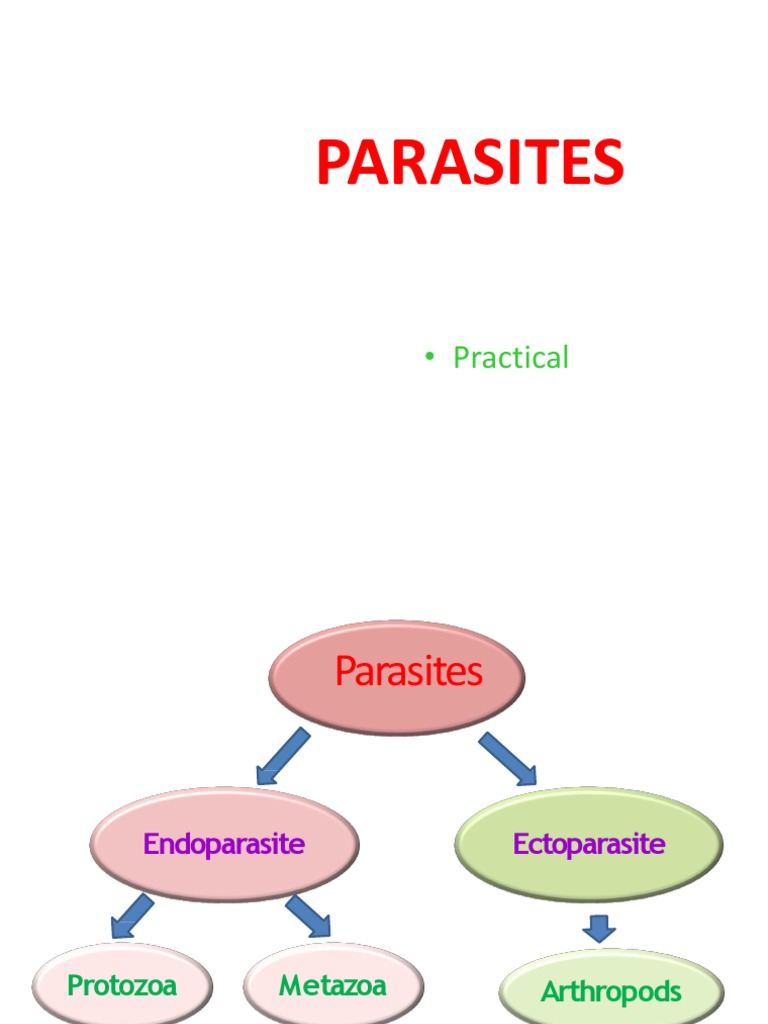Parasites ..Practical 2 | PDF | Retrovirus | Virus Diseases