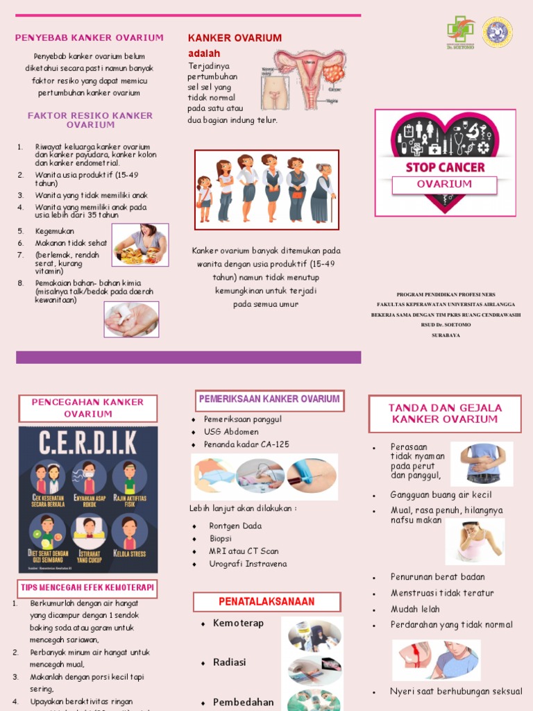 Leaflet CA Ovarium | PDF