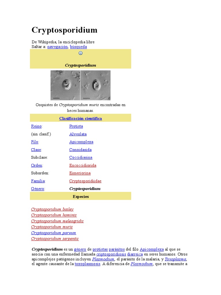 Cryptosporidium | PDF | Salud y bienestar | Medicina