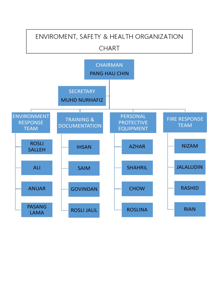 Environmental Safety Organization Chart | PDF