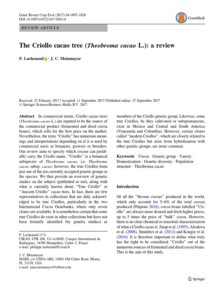 The Criollo Cacao Tree | PDF | Cocoa Bean | Biology