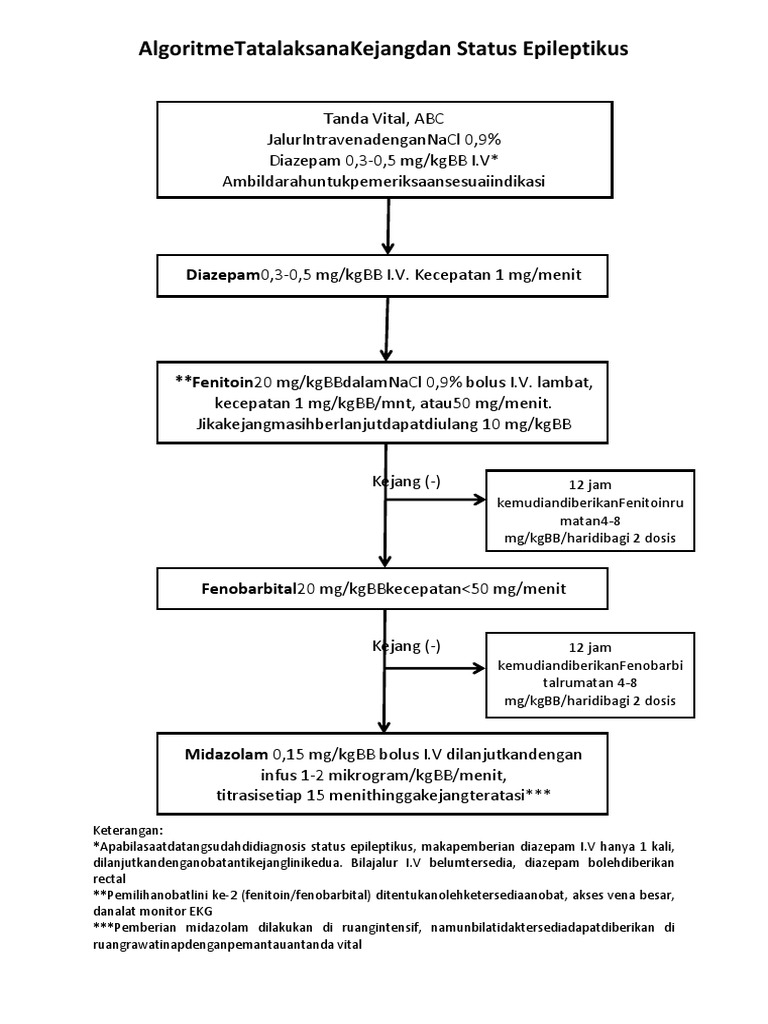 Algoritme Tatalaksana Kejang Dan Status Epileptikus | PDF