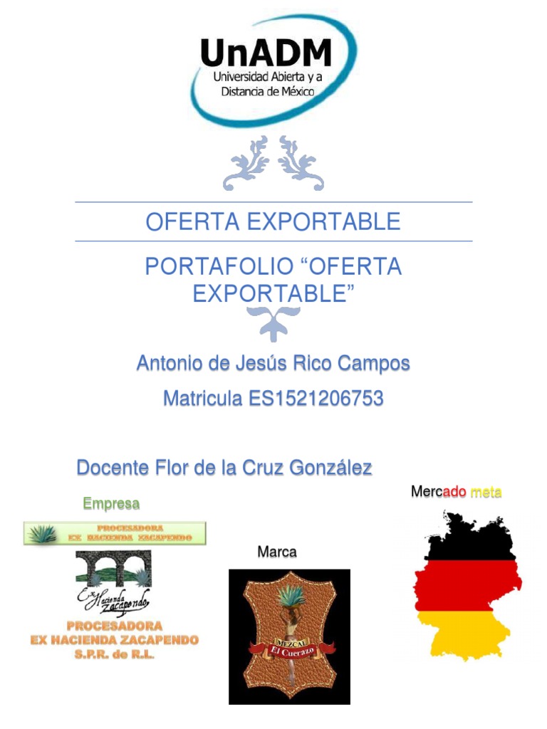 Portafolio "Oferta Exportable" 1 | PDF | Patentar | Unión Europea