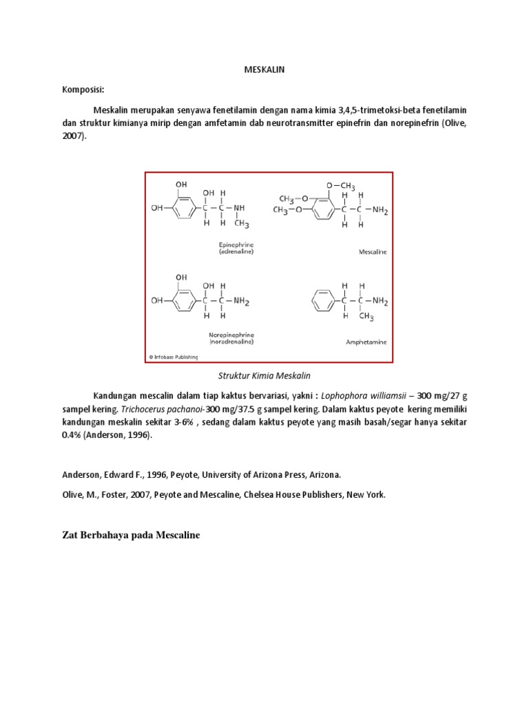 MESKALIN | PDF | Sains & Matematika