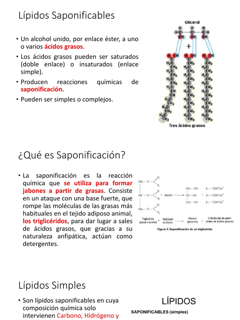 Lípidos Saponificables Pdf
