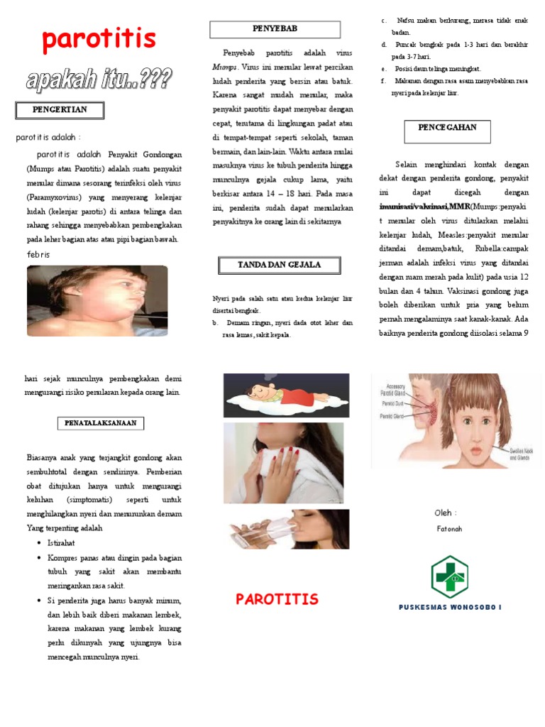 Parotitis Leaflet | PDF