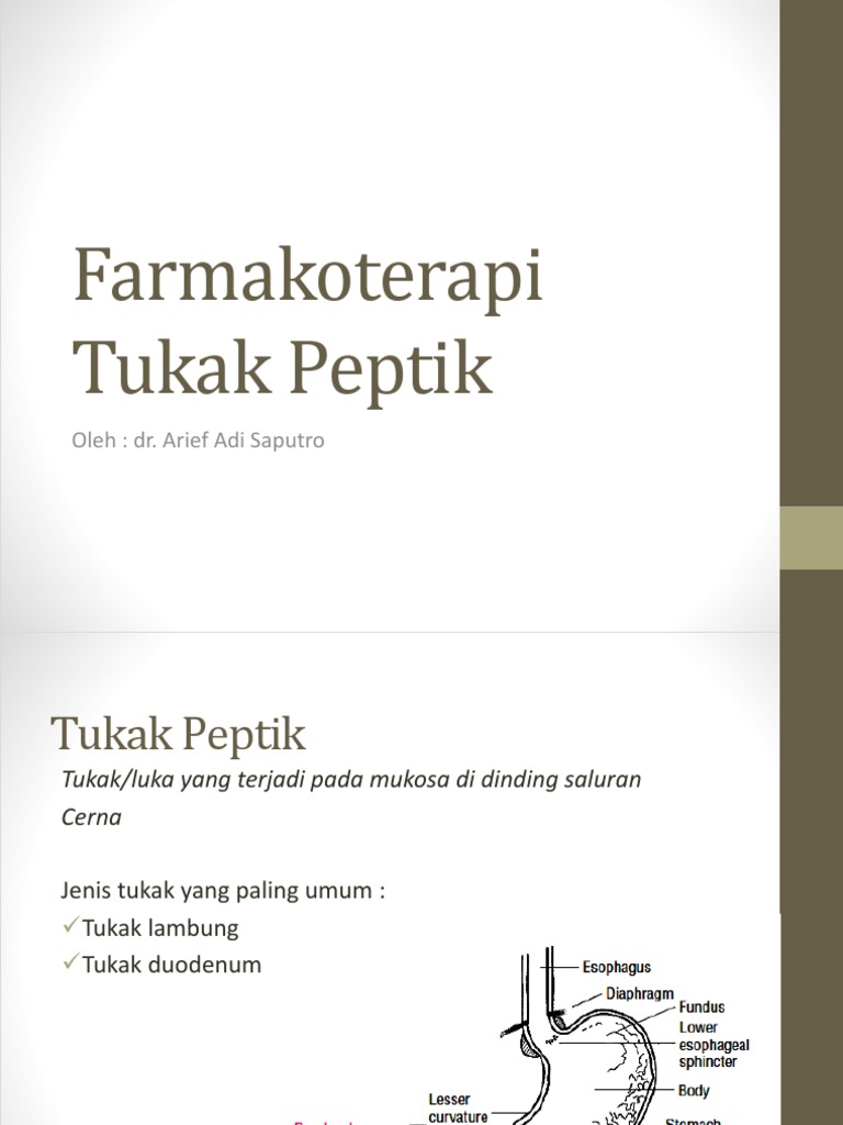 Terapi dan Manajemen Tukak Peptik | PDF | Kesehatan Holistik