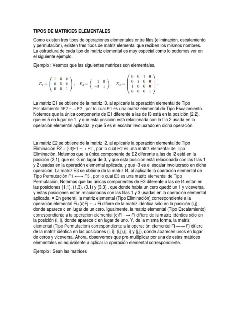 Tipos de Matrices Elementales 1 | PDF | Matriz (Matemáticas) | Física teórica