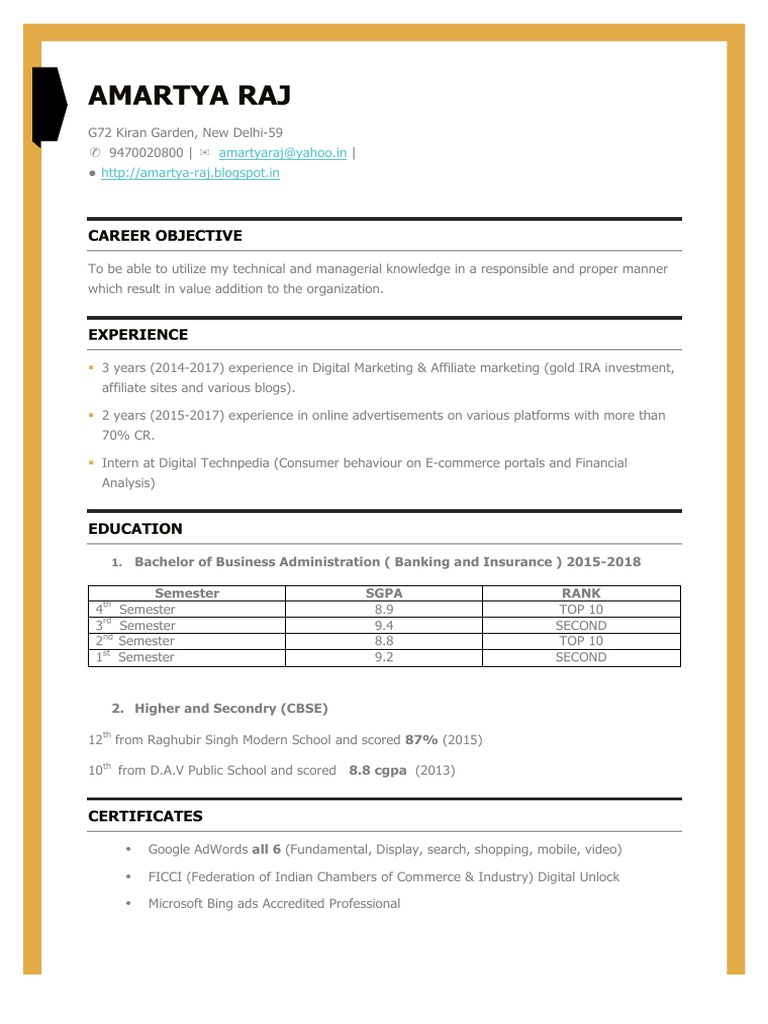 Amartya Raj Resume F Pdf Pdf Business Economics Business