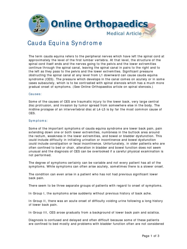 Cauda Equina Syndrome: Causes | PDF | Back Pain | Vertebral Column