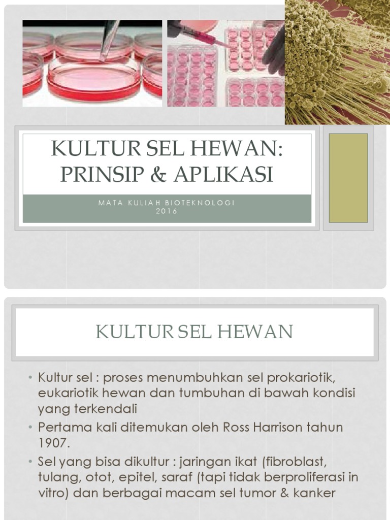 Kultur Sel Hewan | PDF