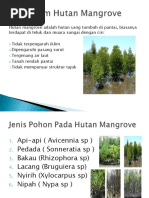 8 Jenis Mangrove dan Ciri-Cirinya | PDF