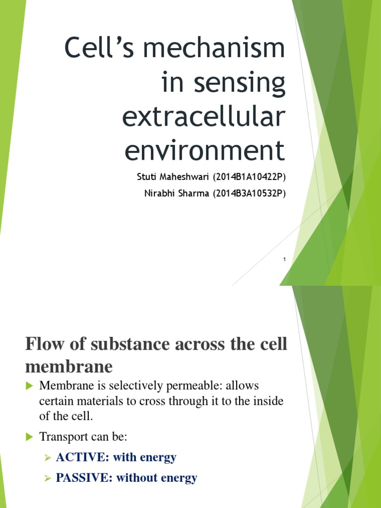 Understanding How Cells Sense and Respond to Their Extracellular ...
