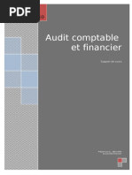 Seuil de Signification | PDF | Capitaux propres | Audit