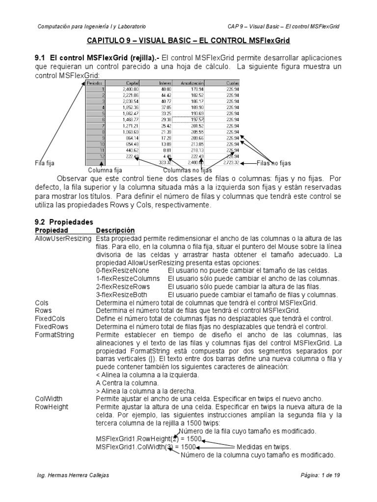 Control MSFlexGrid en Visual Basic 6 | PDF | Programa de computadora ...