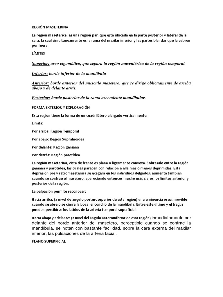 Anatomía de la Región Maseterina | PDF