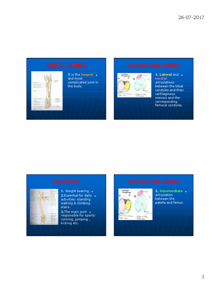 Knee Joint PDF | PDF | Knee | Human Anatomy