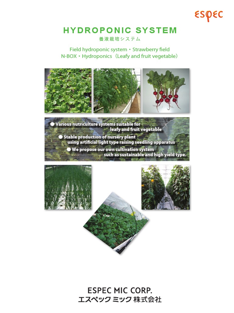 Eng Hydroponic System | PDF | Hydroponics | Vegetables