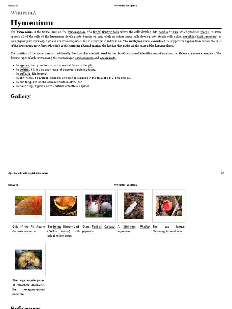 Hymenium | PDF | Fungus | Eukaryotes