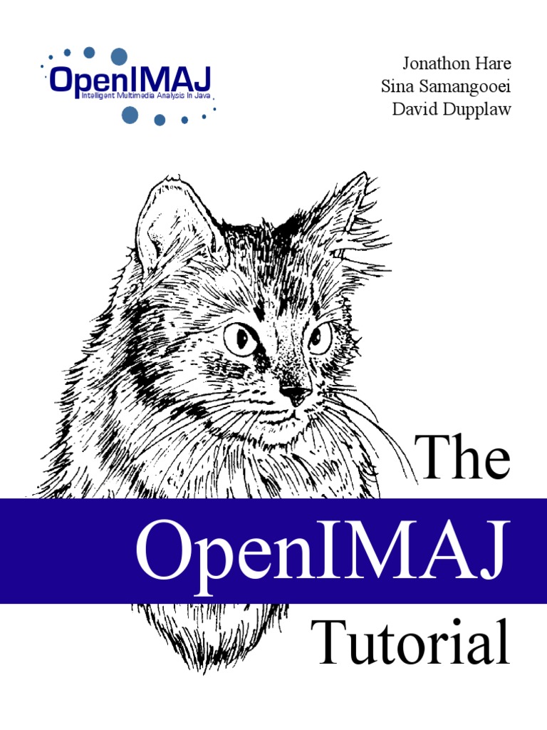 Open I Maj Tutorial | PDF | Application Programming Interface | Apache ...