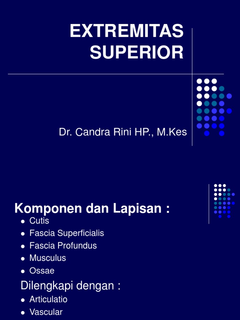 Extremitas Superior: Dr. Candra Rini HP., M.Kes | PDF | Limbs (Anatomy ...
