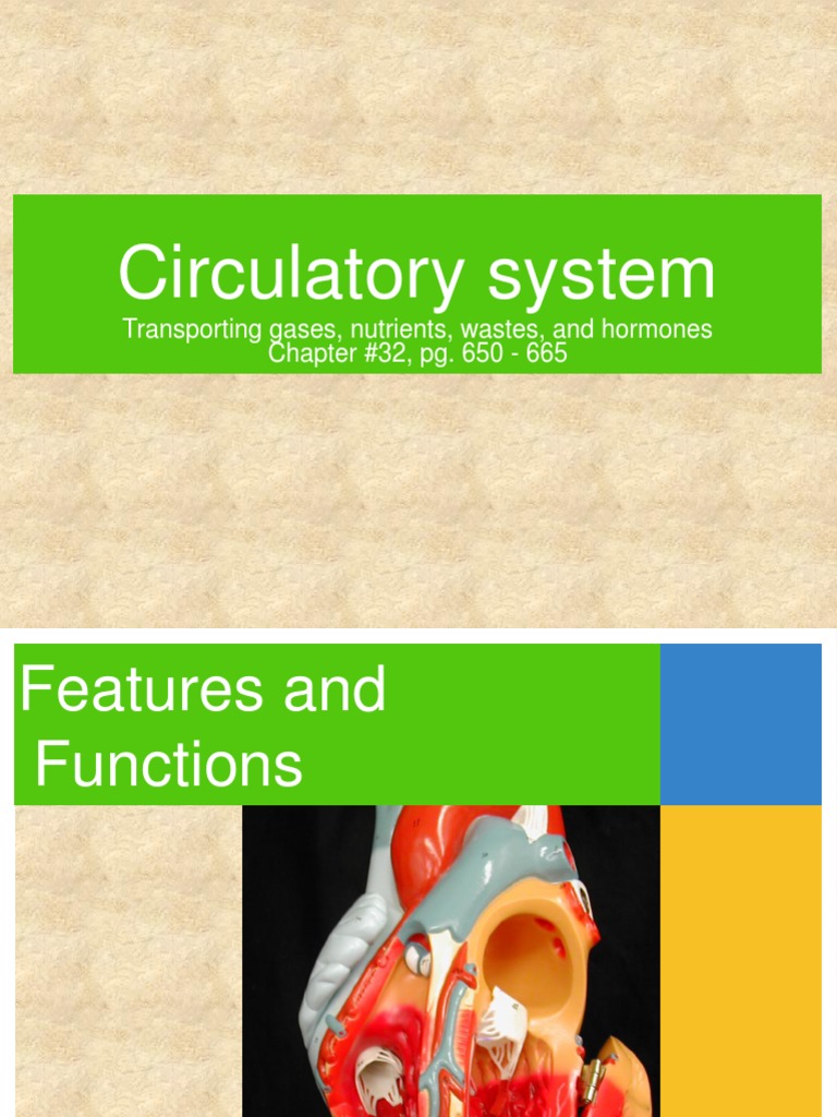 Circulatory system: Transporting gases, nutrients, wastes, and hormones ...