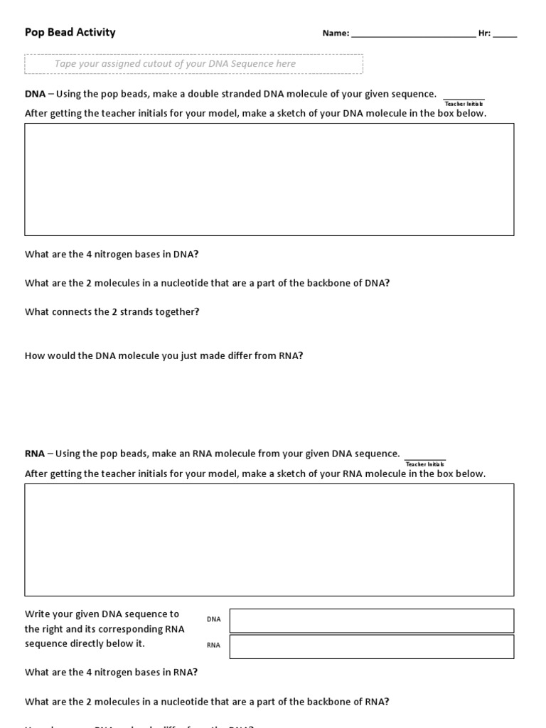 Dna Pop Bead Activity | PDF