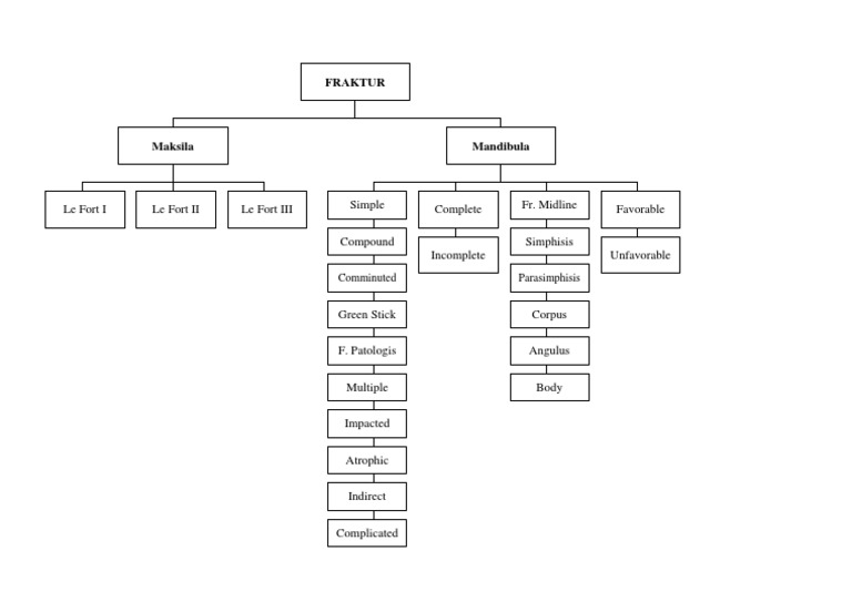 Fraktur: Le Fort I Le Fort II Le Fort III Simple Complete Fr. Midline ...