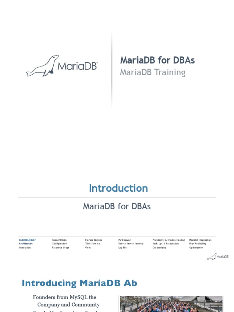 Mariadb | PDF | Database Index | My Sql