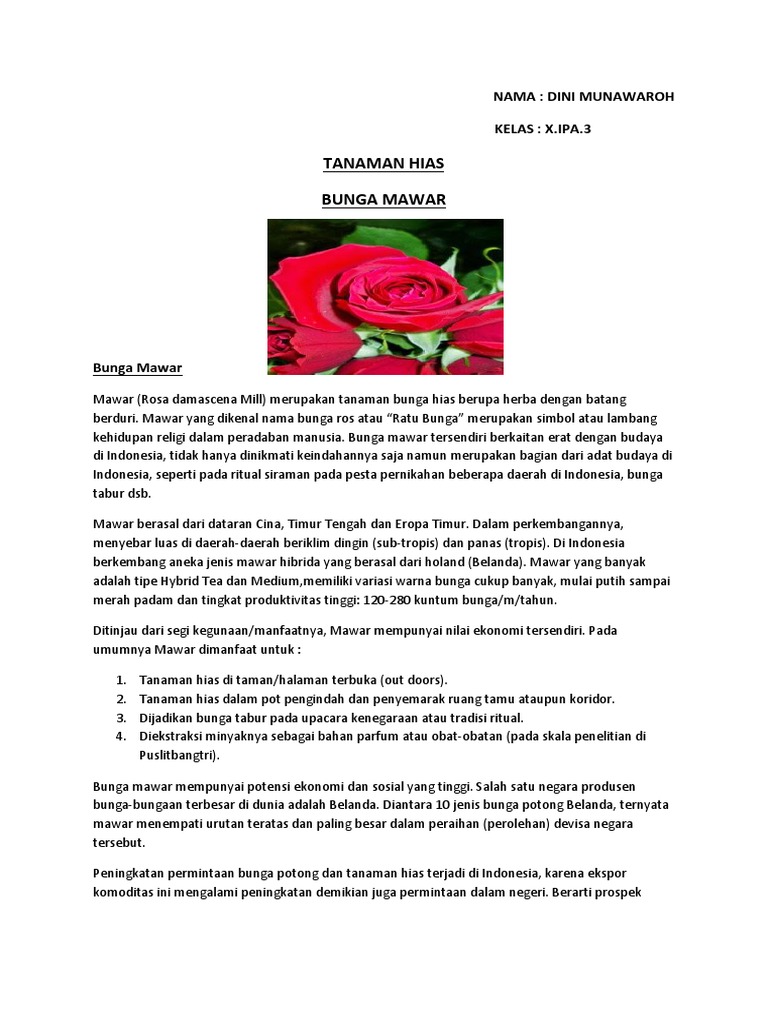 Bunga Mawar | PDF