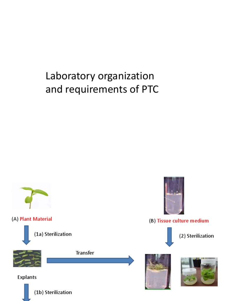 Laboratory organization and requirements of PTC media (PTC | PDF | Agar ...