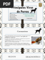 Pfizer Vanguard SP Final | PDF | Vacunas | Virus