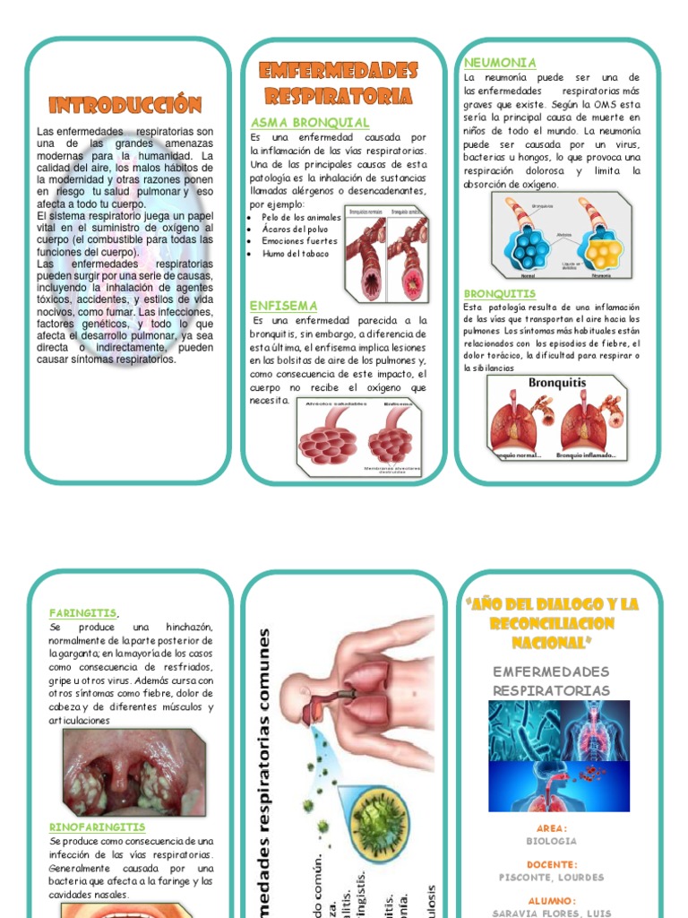 Triptico Enfermedades | PDF | Neumonía | Pulmón