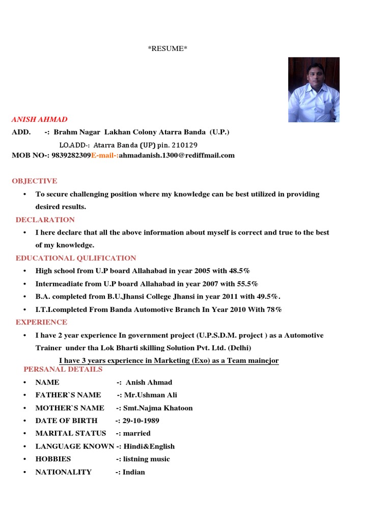 Anish New Resume | PDF