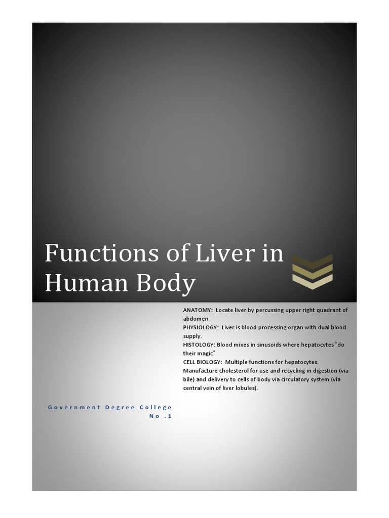 Functions of Liver in Human Body | PDF | Liver | Human Body