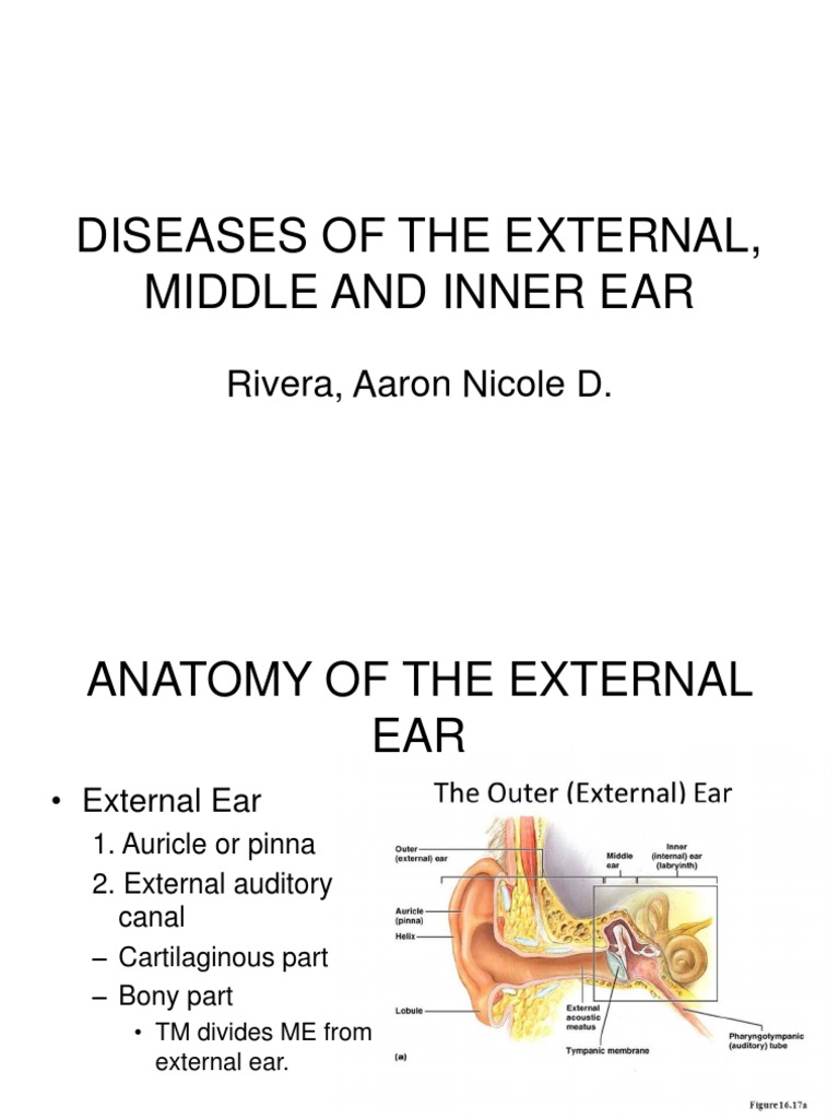 Diseases of The External | PDF | Ear | Auditory System