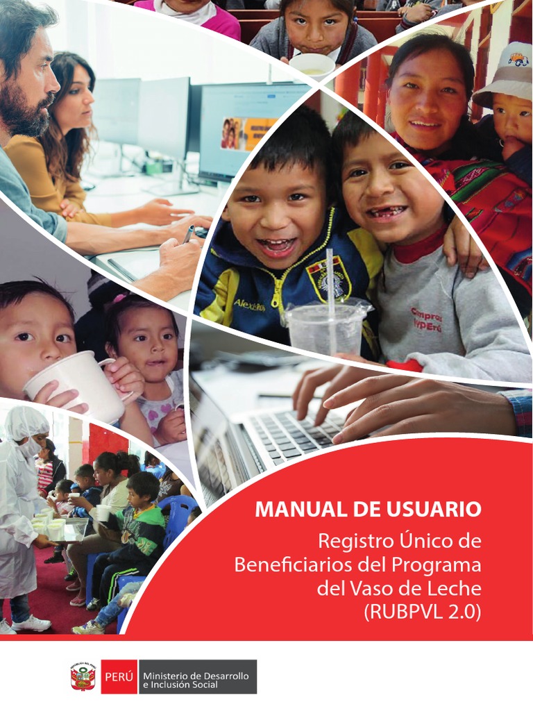 Manual de Usuario Rubpvl 2017 | PDF | Point and Click | Archivo de computadora