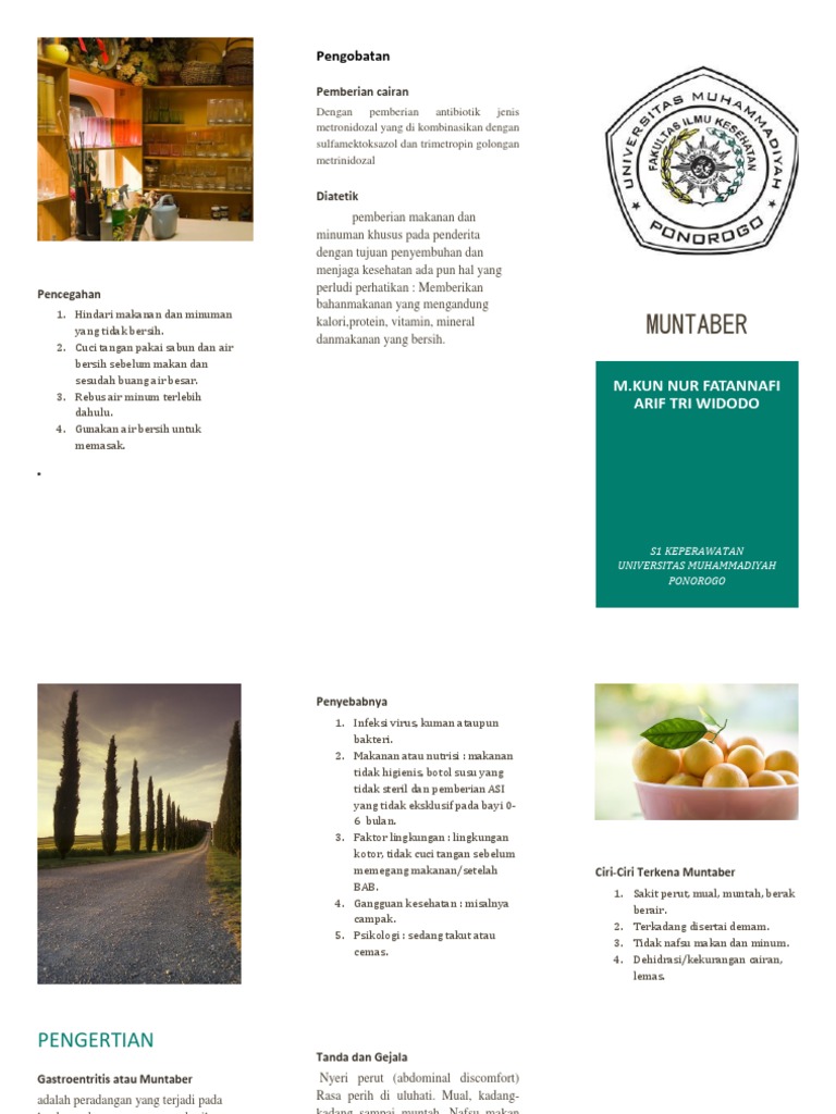 Leaflet Muntaber | PDF